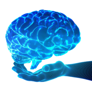 Human Benchmark | Human Benchmark Test | HumanBenchmark.info